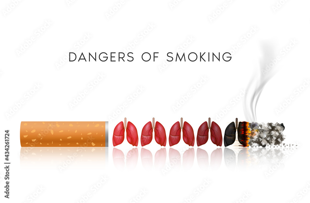 Dangers of smoking. Smoking effect on human lung. Stop smoking, World ...