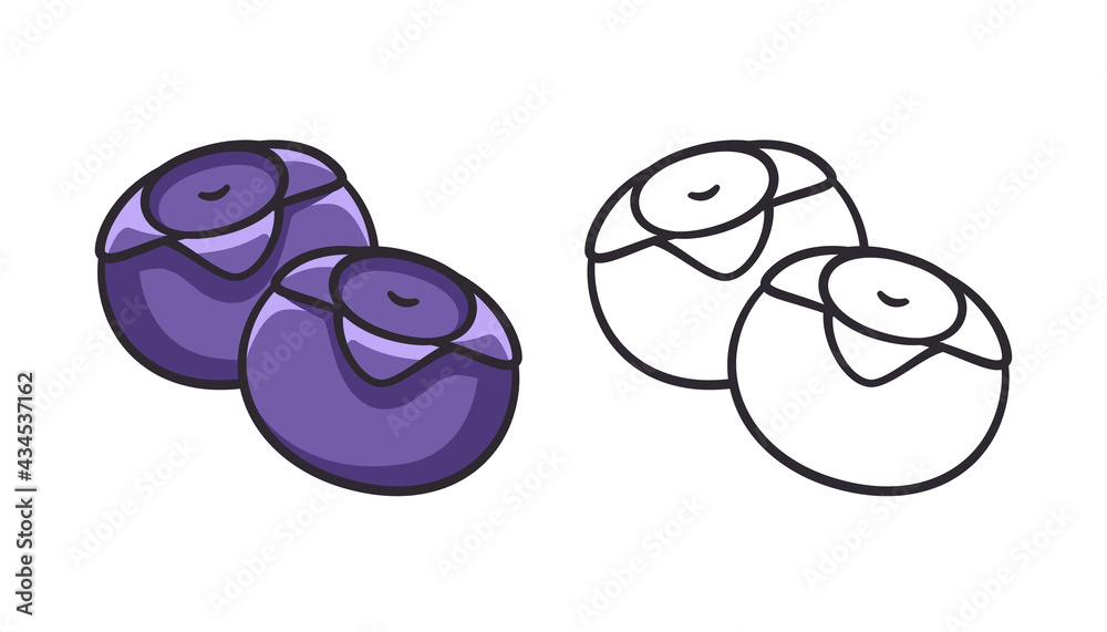 Image vectorielle Stock Two blueberries cartoon illustration set ...