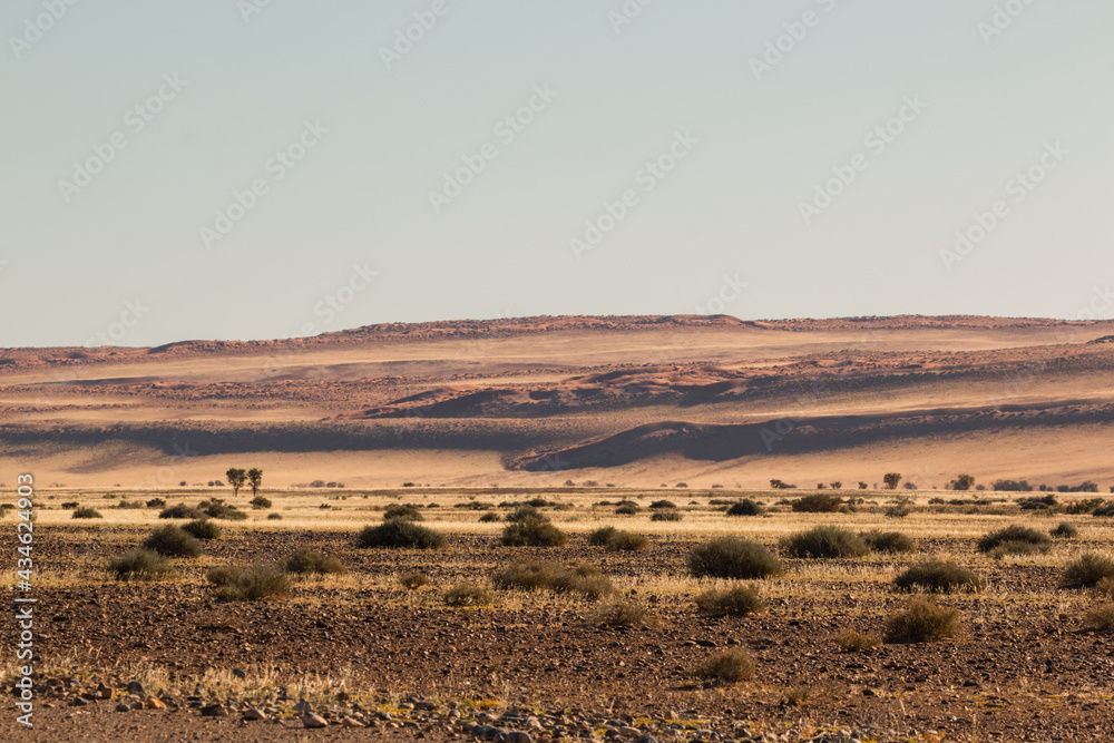 typical landscape of namibia between kalahari and namib desert during ...