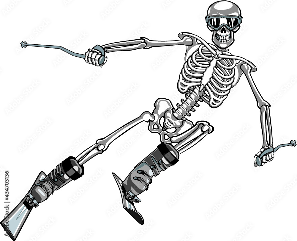 human skeleton winter sports Stock Vector | Adobe Stock