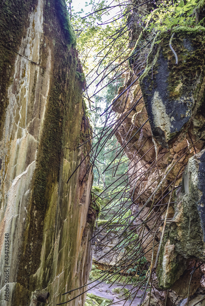 Ruins of Bunker of Adolf Hitler in Wilczy Szaniec - Wolfs Lair, Eastern ...