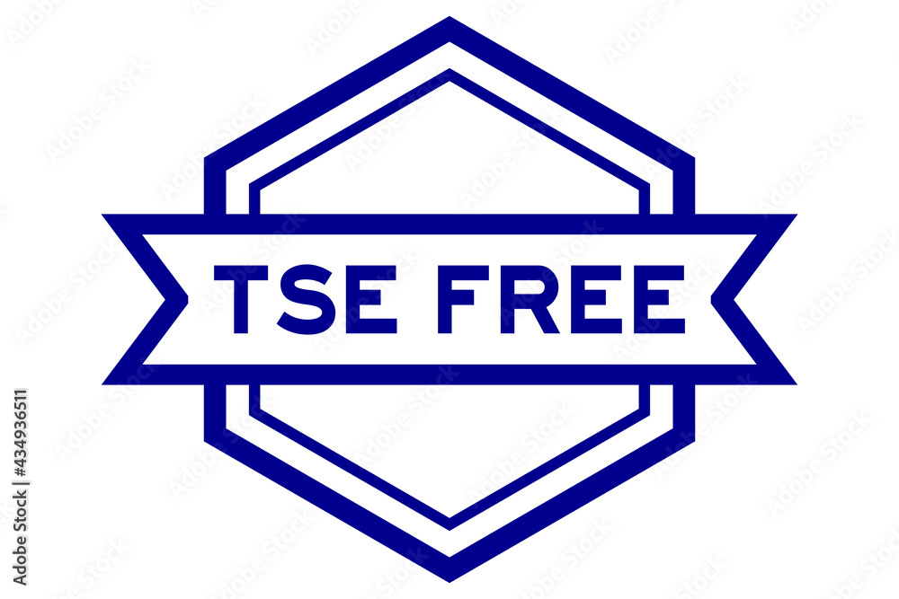 Vintage hexagon label banner with word TSE (Transmissible Spongiform ...