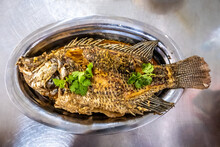 Tilapia Fish Free Stock Photo - Public Domain Pictures