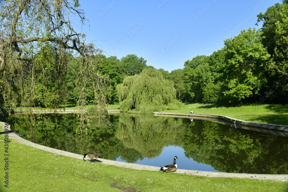 L'étang supérieur entouré de bois et pelouses au parc Roi Baudoin à ...