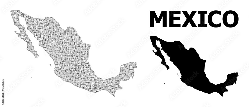 Polygonal mesh map of Mexico in high detail resolution. Mesh lines ...