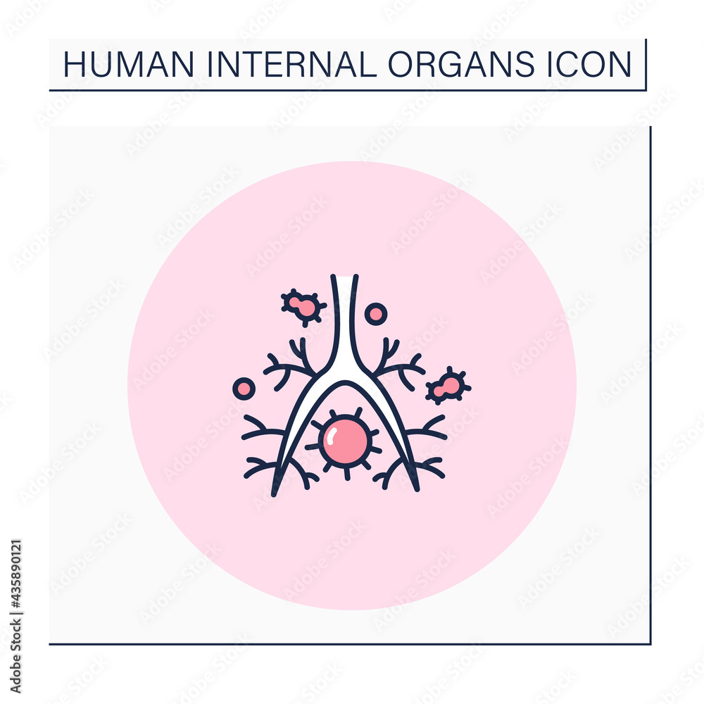 Bronchi color icon. Respiratory system inflammatory. Bronchi disease ...