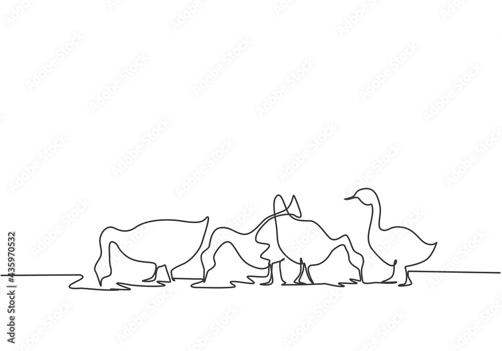 Single one line drawing of the geese are being fed to be healthy and ...
