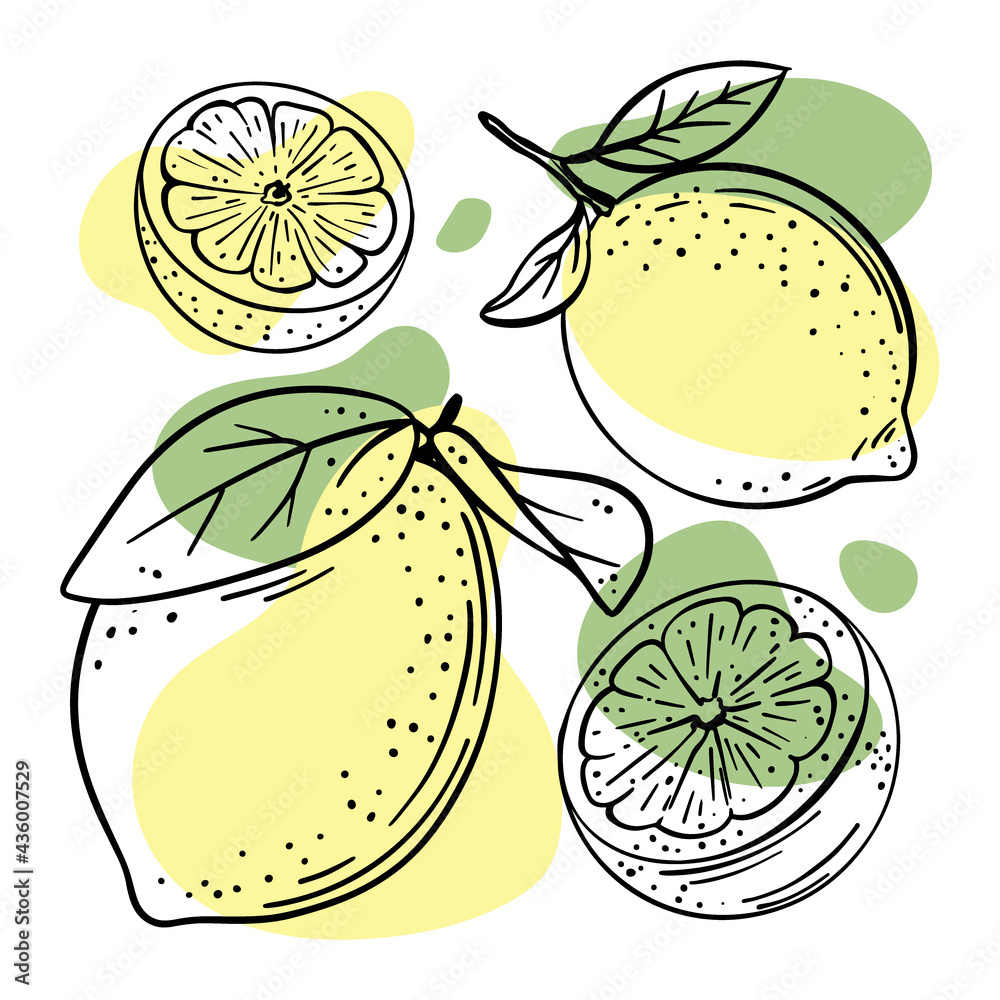 LEMON Abstract Delicious Citrus Fruit With Leaves And Cut In Half For Design Your Store And ...