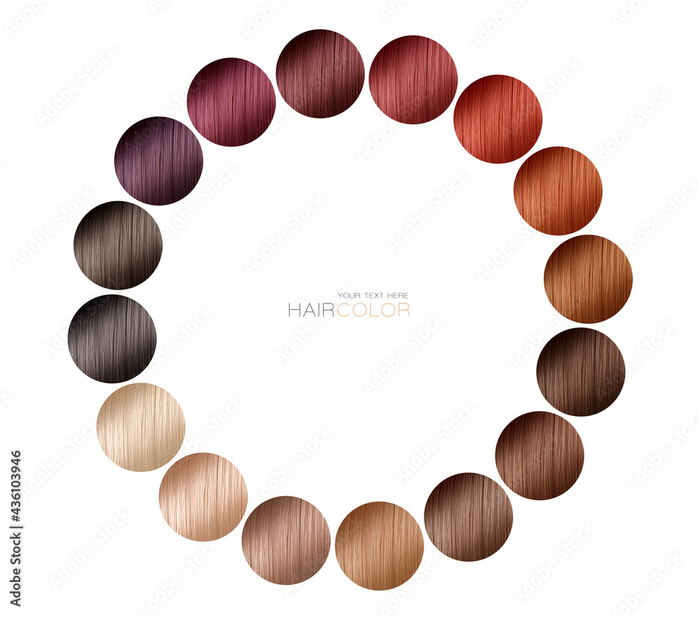 Circular palette of swatches of a range of hair colors. Color chart for ...