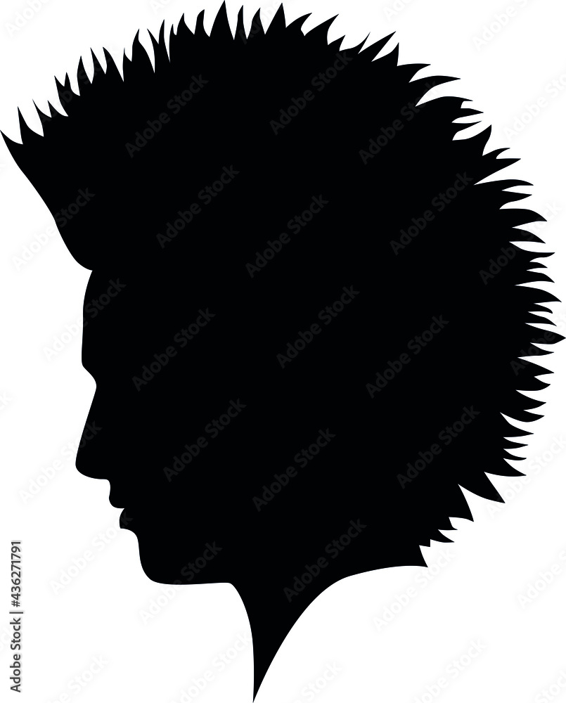 Irokese punk hairstyle for a adult men Anarcho punk (or anarchist punk ...