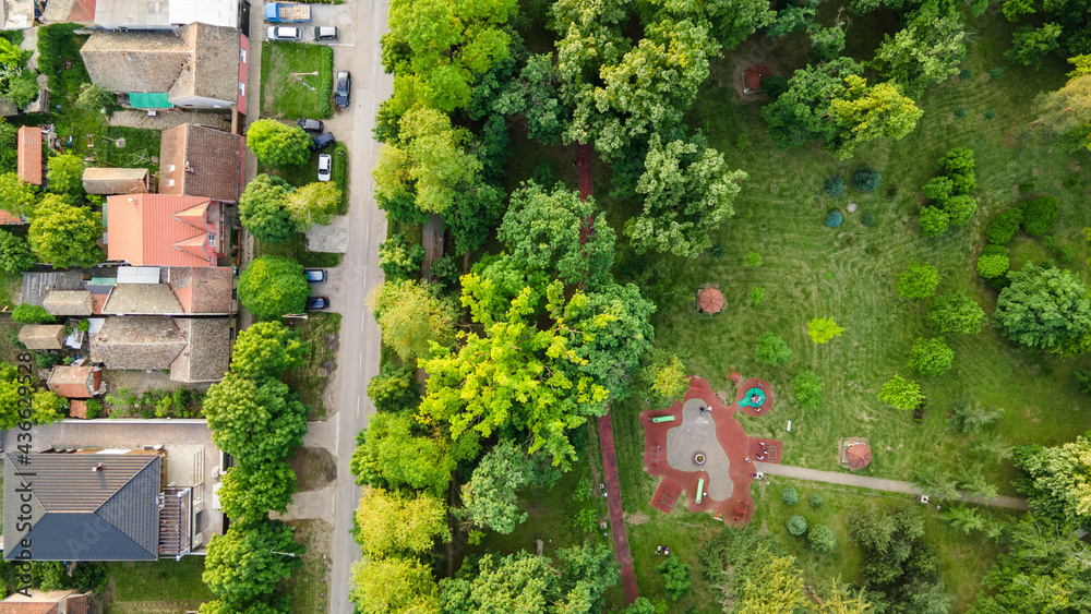 Aerial top view of spring park landscape with green trees, lawns and ...