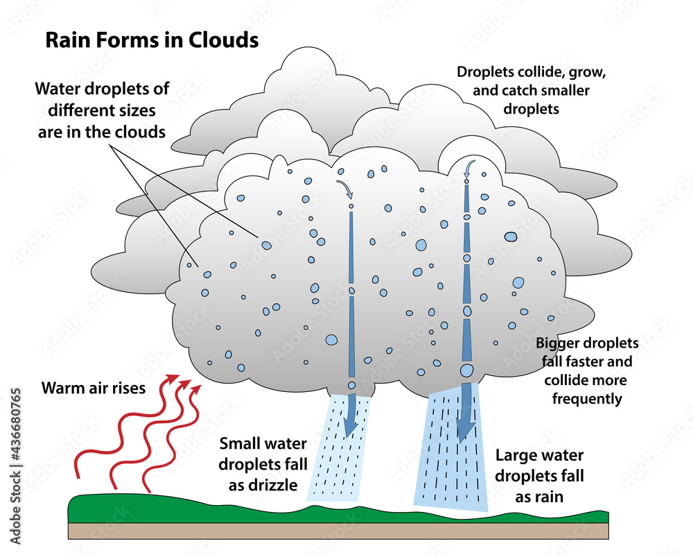 Rain drop formation in a science diagram. How rain forms as warm air ...