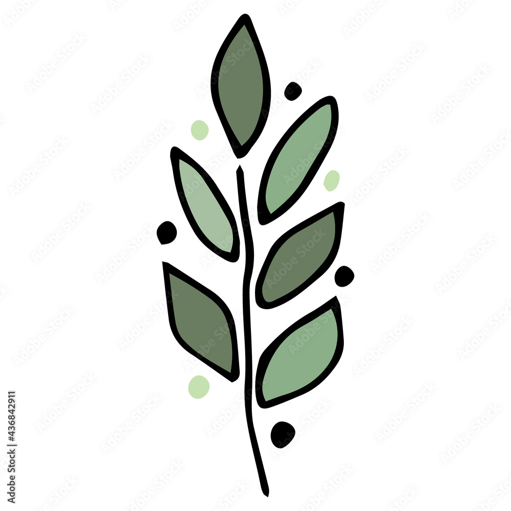 Doodle twig and green leaves. Black outline. Vector plants illustration ...