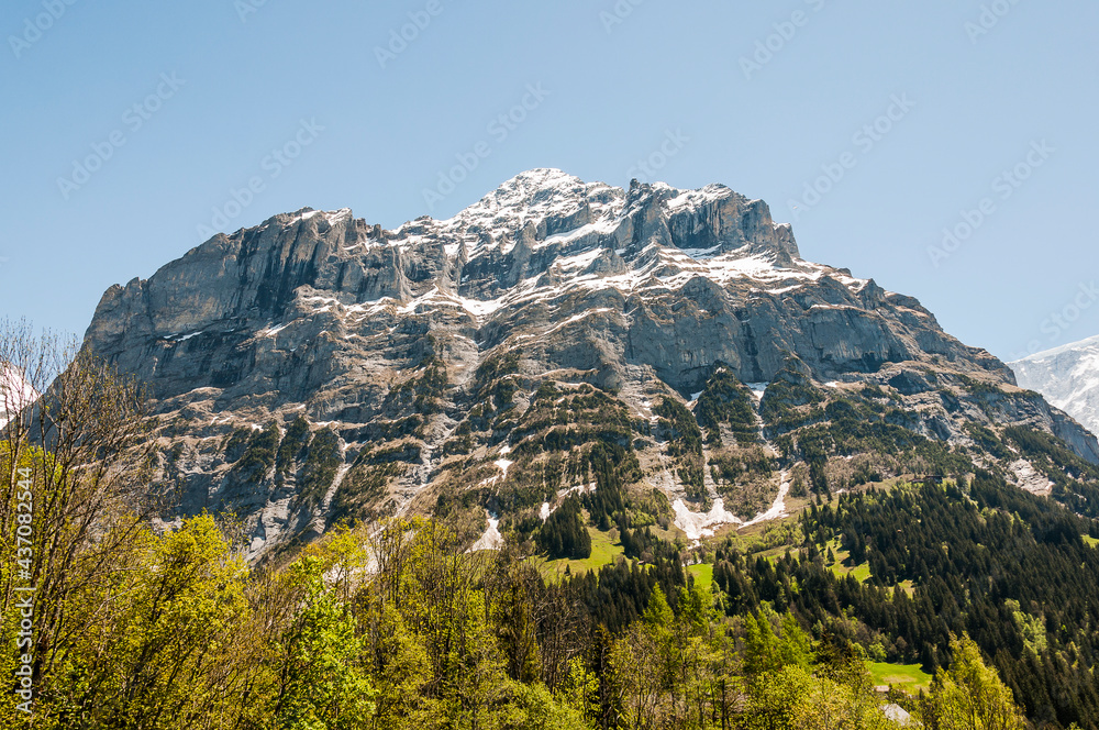Grindelwald, Schreckhorn, Pfingstegg, Mettenberg, Gletscher, Alpen ...