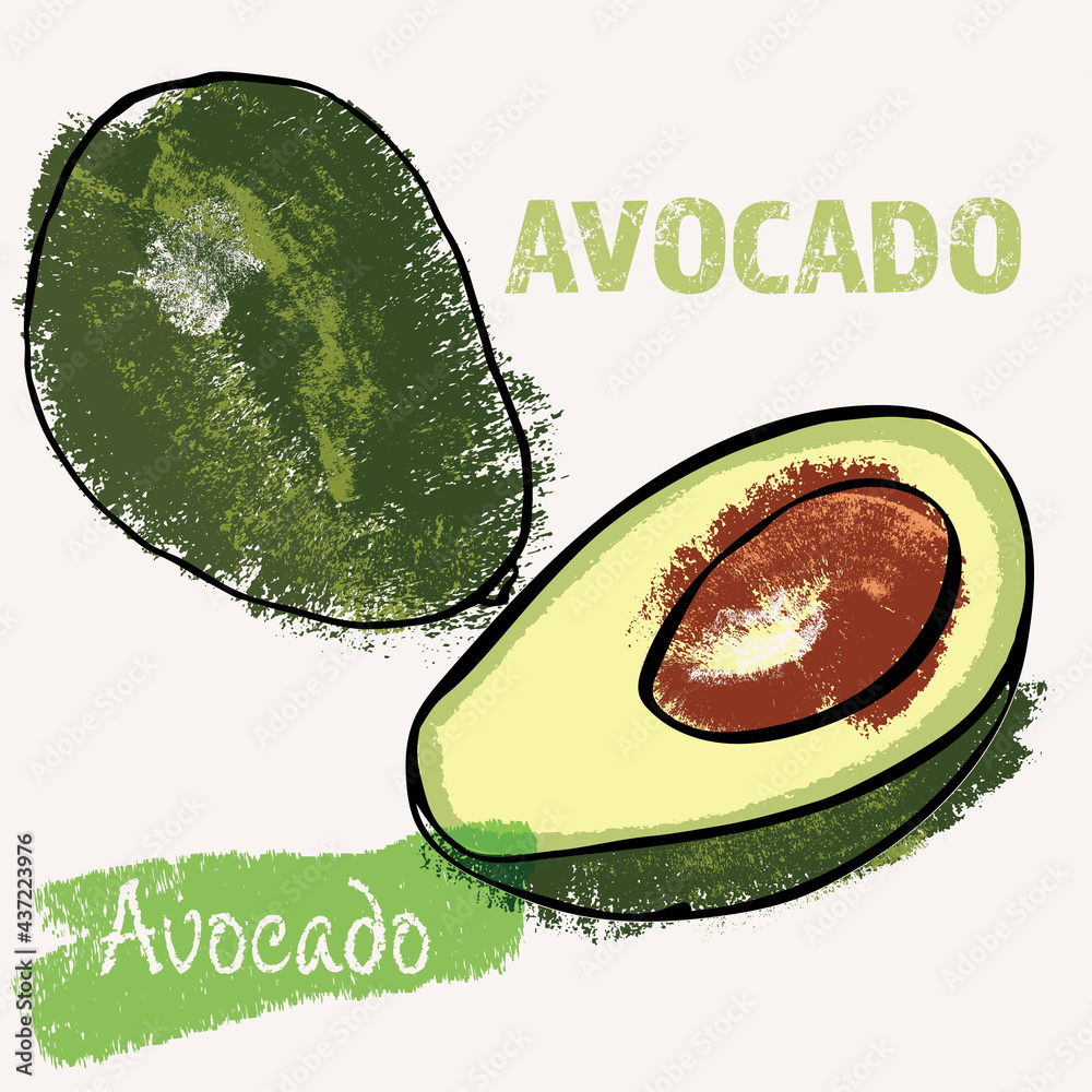 Avocado line art and color hand-drawn vector illustration. Rough crayon ...