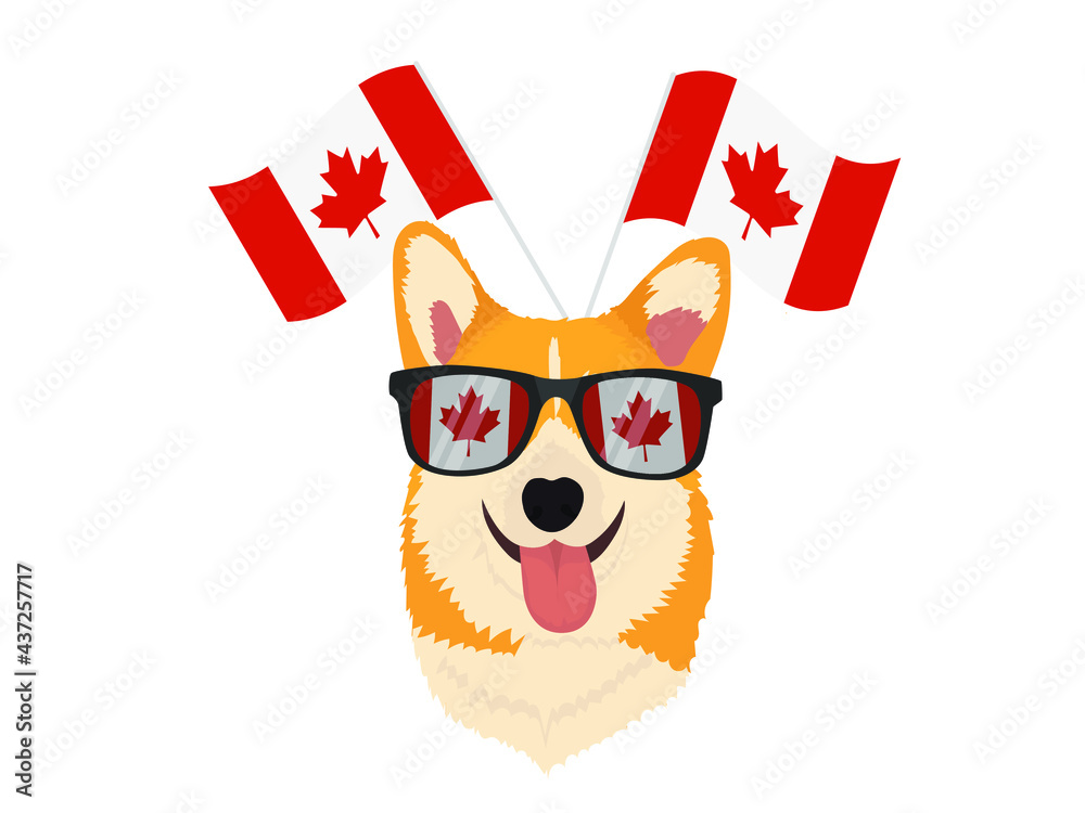 Canada day dog. Independence day. Corgi dog with sunglasses and flags ...