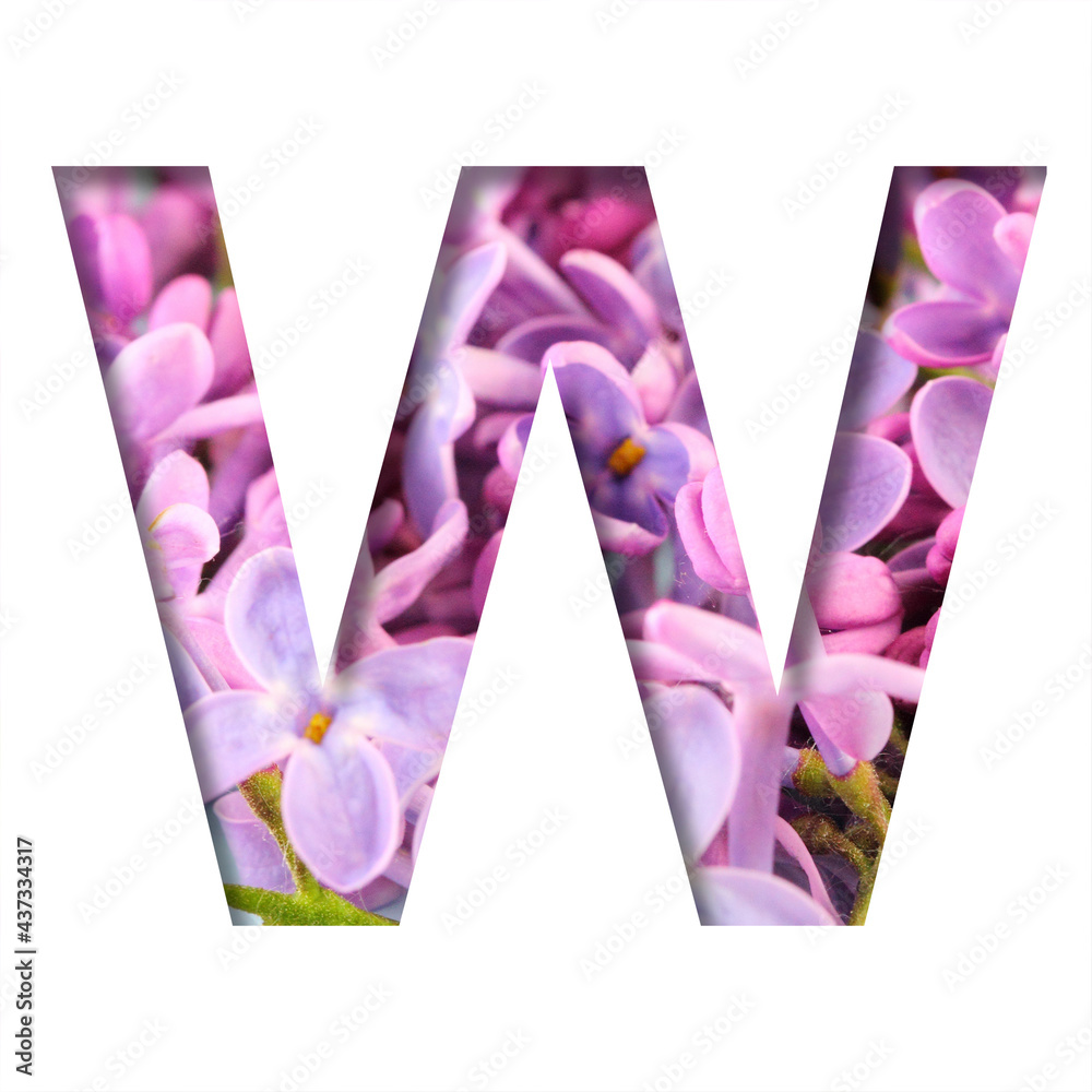 Lilac spring flowers font. The letter W cut out of white on the ...