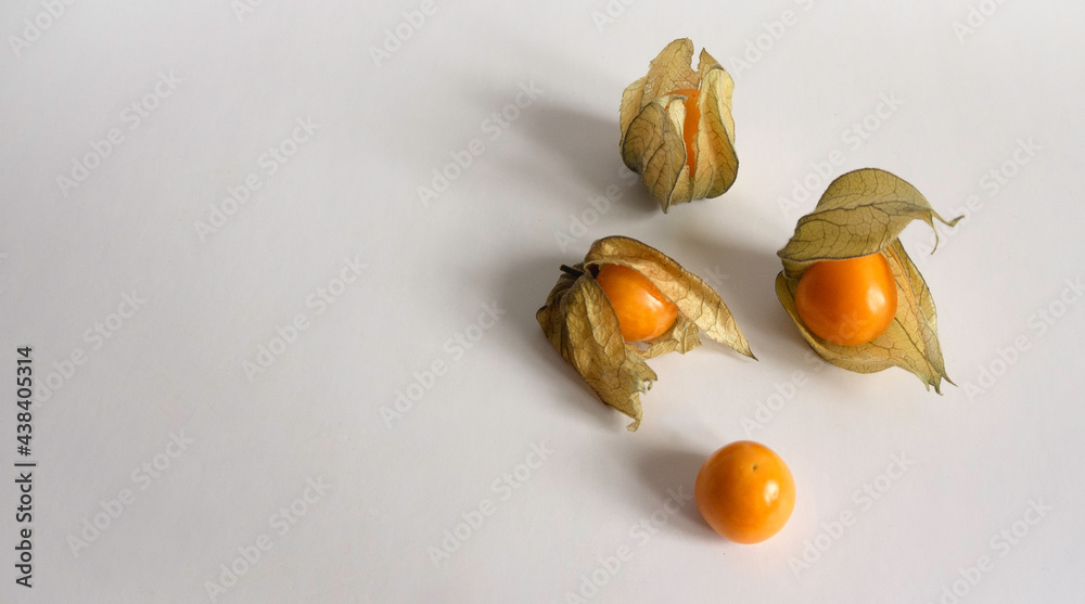 Close up of ripe Physalis peruviana fruits also known as groundcherry ...