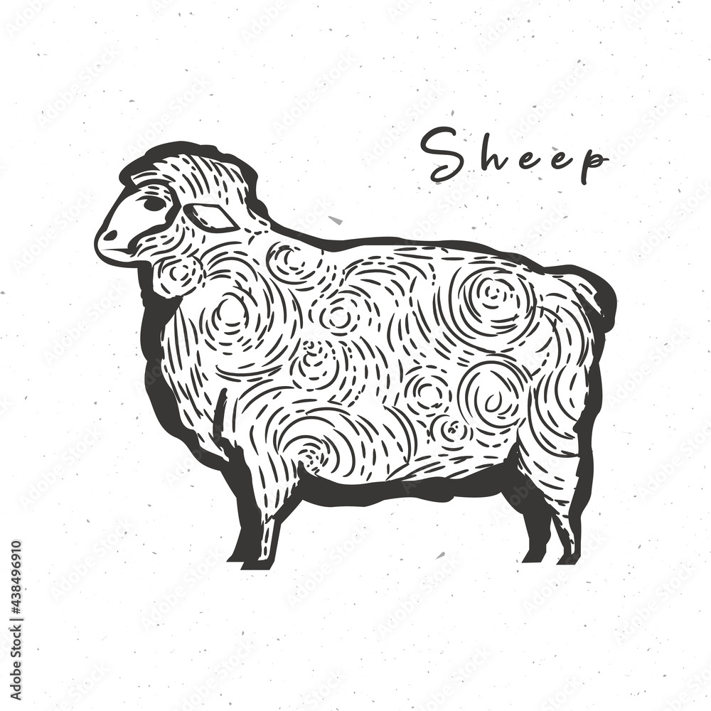 Sheep icon. Sheep vintage sketch isolated on white background. The farm ...