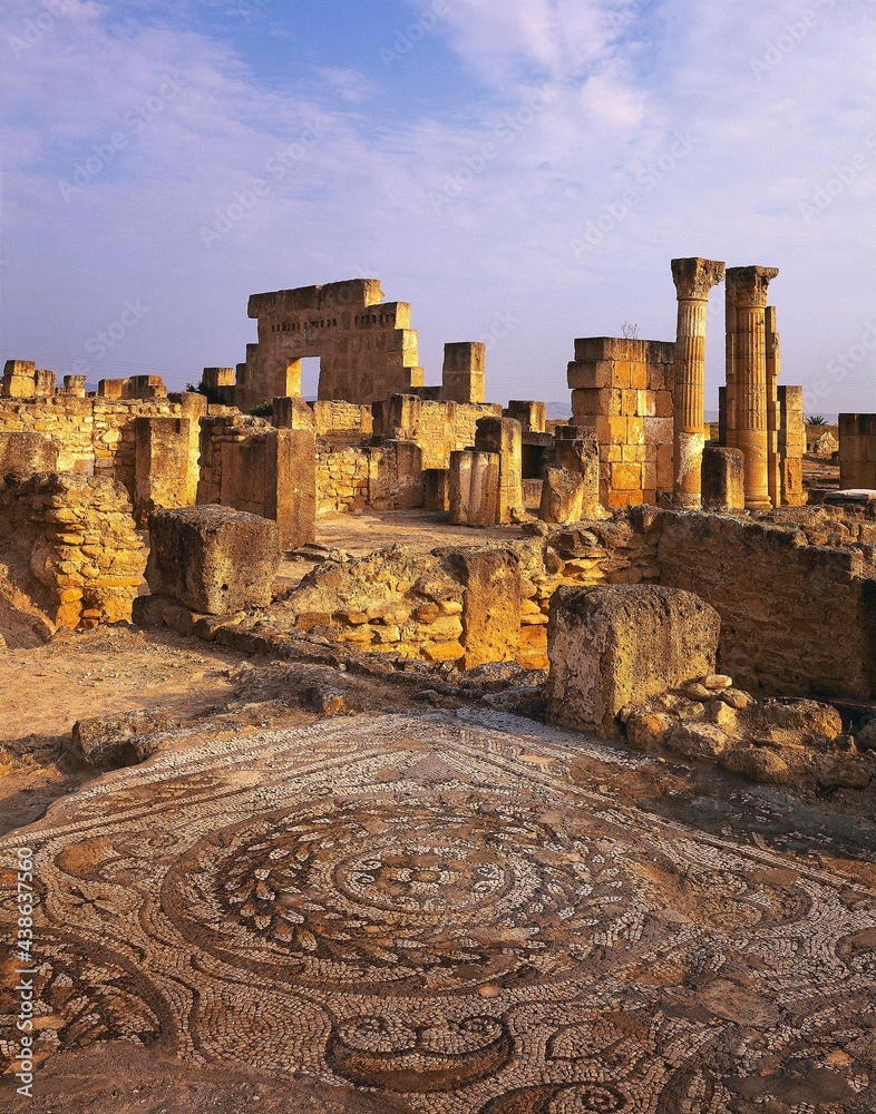 tunisia, utica, field of ruins, roman-punic, ground mosaic, africa ...