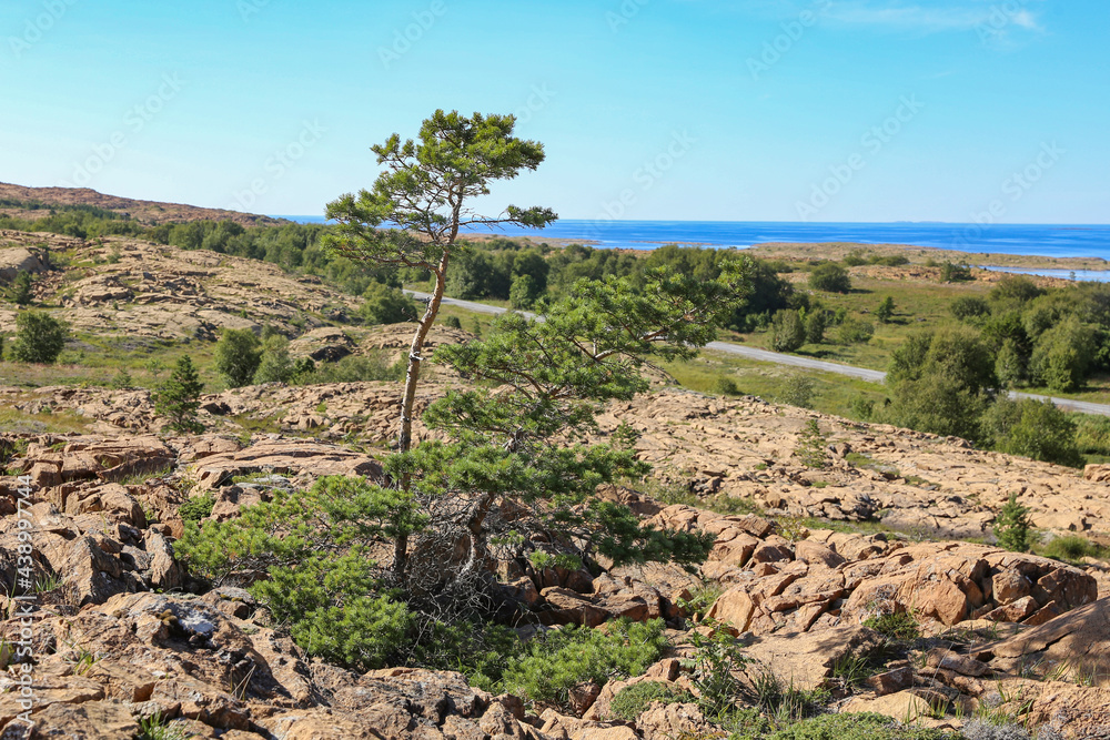 Rocky landscape on Leka island - 400 million years ago, the seabed ...