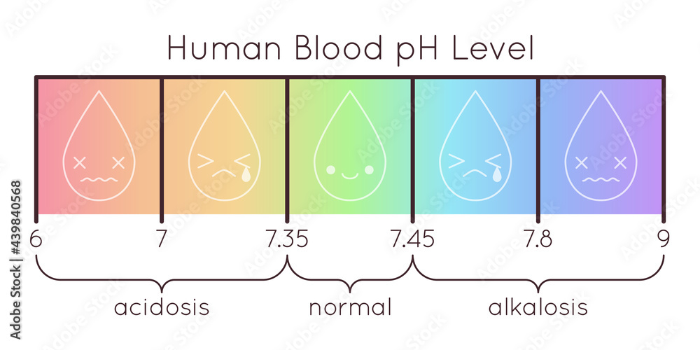 Human blood pH scale vector diagram. Stock Vector | Adobe Stock