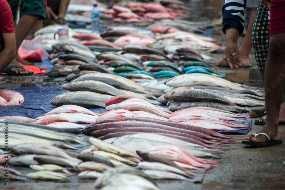 Various types of seafood are sold in the traditional fish market Stock ...