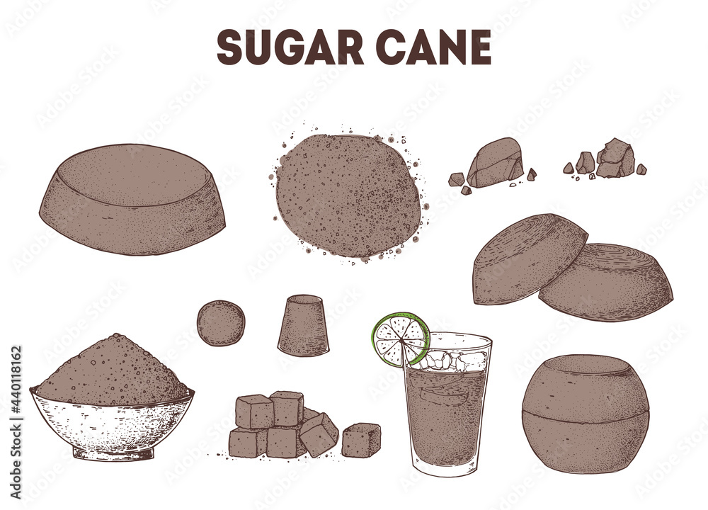Brown Sugar Organic Unrefined. Sugar cane sketch collection. Hand drawn ...