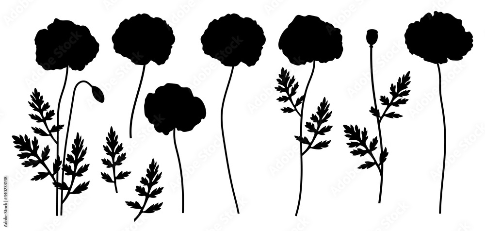 Poppies silhouettes flowers vector illustration. Provence wildflowers ...