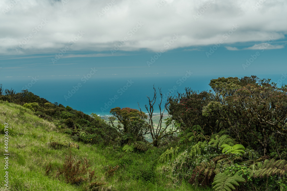 Kaʻala or Mount Kaʻala is the highest mountain on the island of Oahu ...