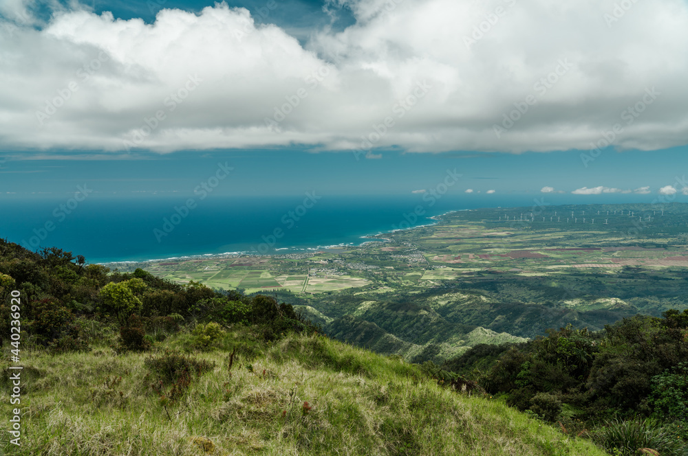 Kaʻala or Mount Kaʻala is the highest mountain on the island of Oahu ...