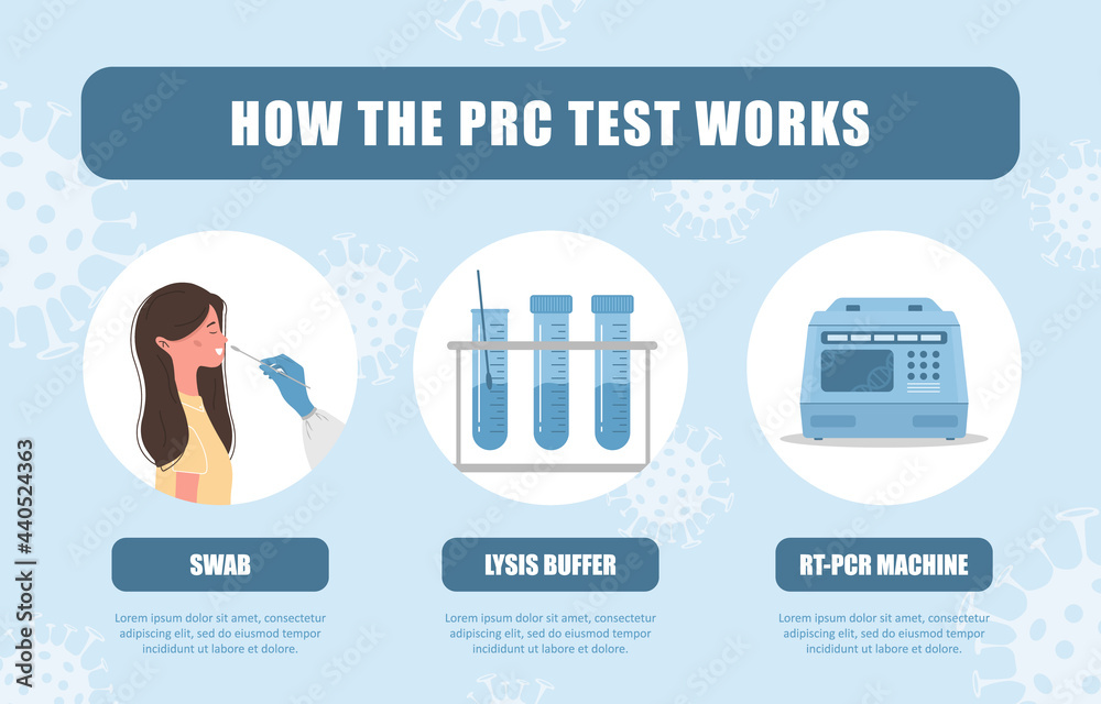 Стоковое векторное изображение «How PCR test works. Nasal swab ...