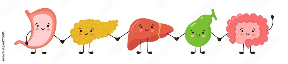 Gastrointestinal tract organs kawaii characters hold hands. Smiling ...