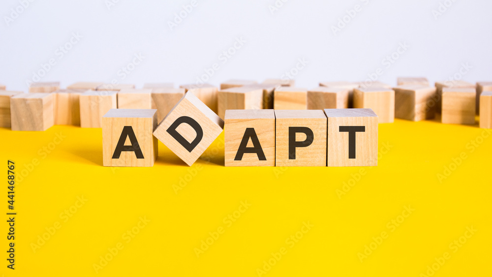 adapt word made by letter blocks, concept Stock Photo | Adobe Stock