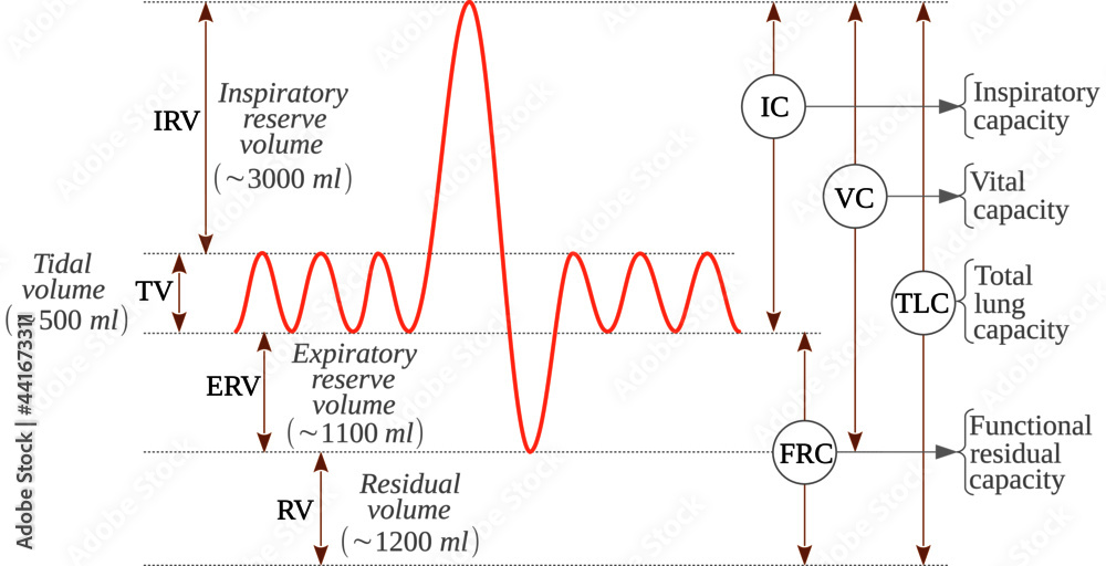 Simple Spirometry (Volume vs time graph) - Lung Volumes and Capacities ...
