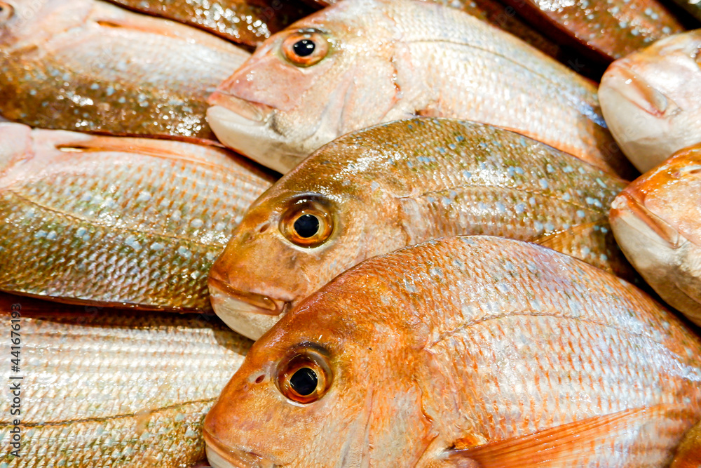 PIle of snappers on display at fish market. Food background Stock Photo ...