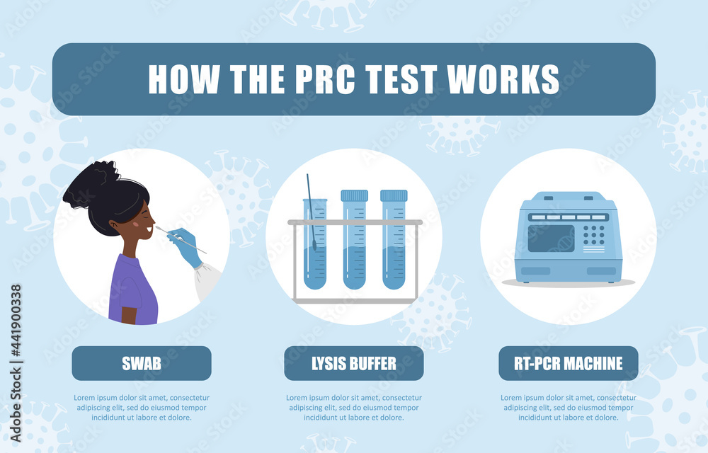Vector de Stock How PCR test works. Nasal swab laboratory analysis of ...