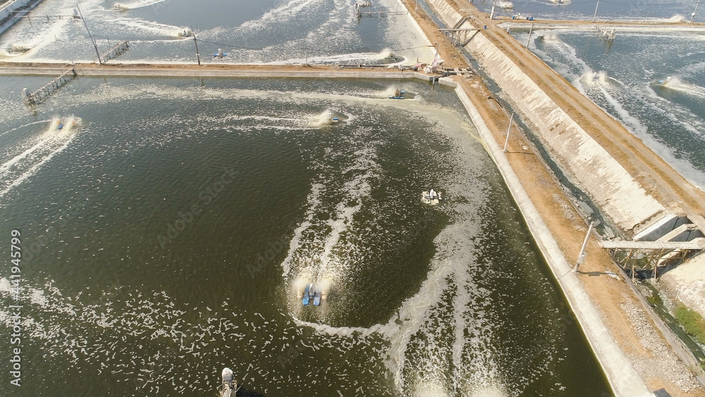 shrimp farm, prawn farming with with aerator pump oxygenation water ...