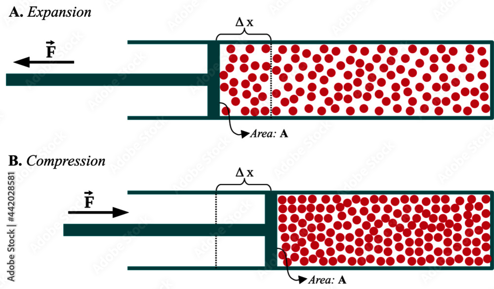 Work of expansion and compression in thermodynamics Stock Vector ...