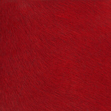 Red Soft Fur Background Free Stock Photo - Public Domain Pictures