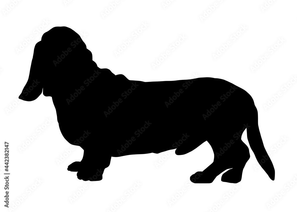 Vettoriale stock di Basset Hound dog silhouette, Vector illustration ...