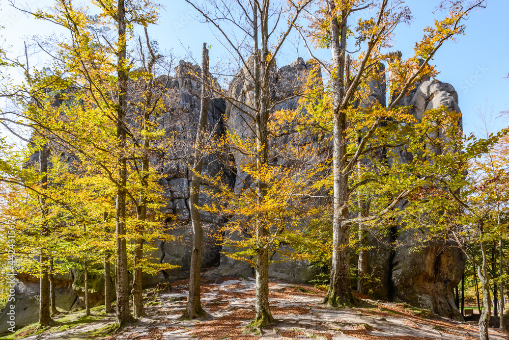 Dovbush rocks, group of rocks, natural and man-made caves carved into ...