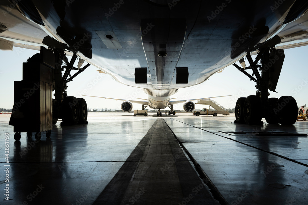 Underside and landing gear of a widebody commercial airplane in a ...