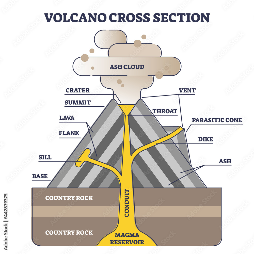 Стоковий вектор Volcano cross section with structure description in ...