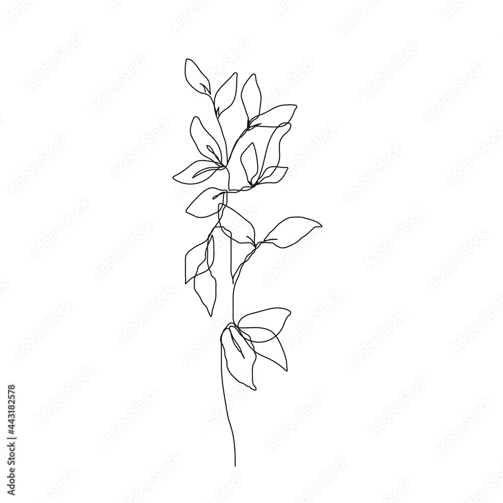 Continuous Line Drawing of Leaves Branch Black Sketch Isolated on White ...