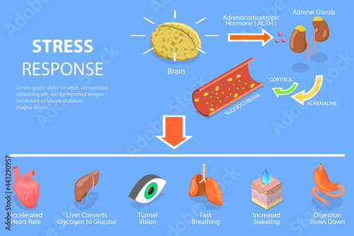 3D Isometric Flat Vector Conceptual Illustration of Stress Response ...