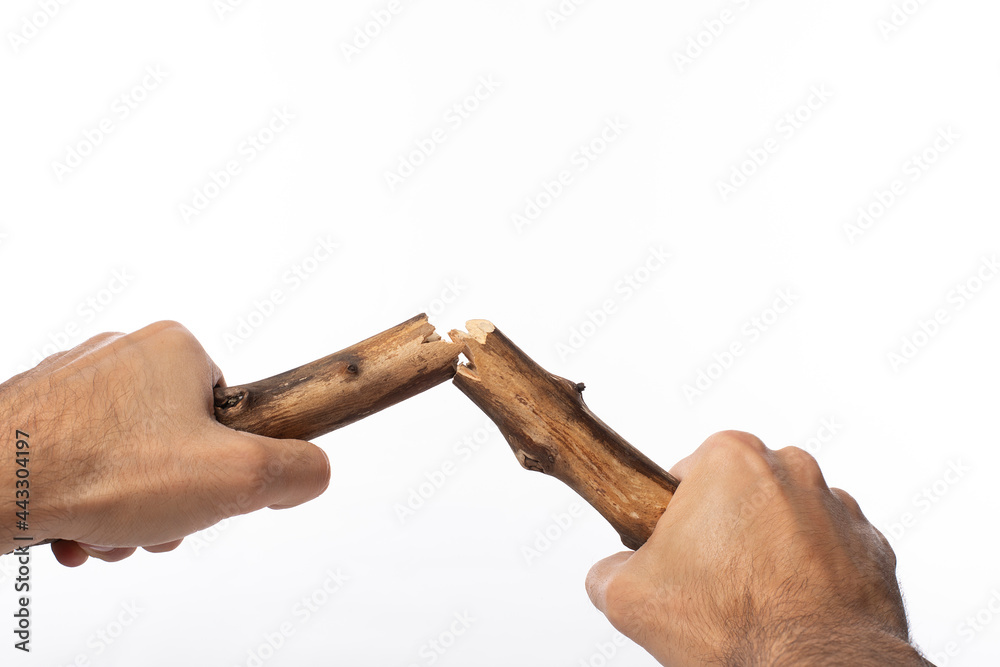 Hands breaking a twig, isolated on white background. Snap in half a ...