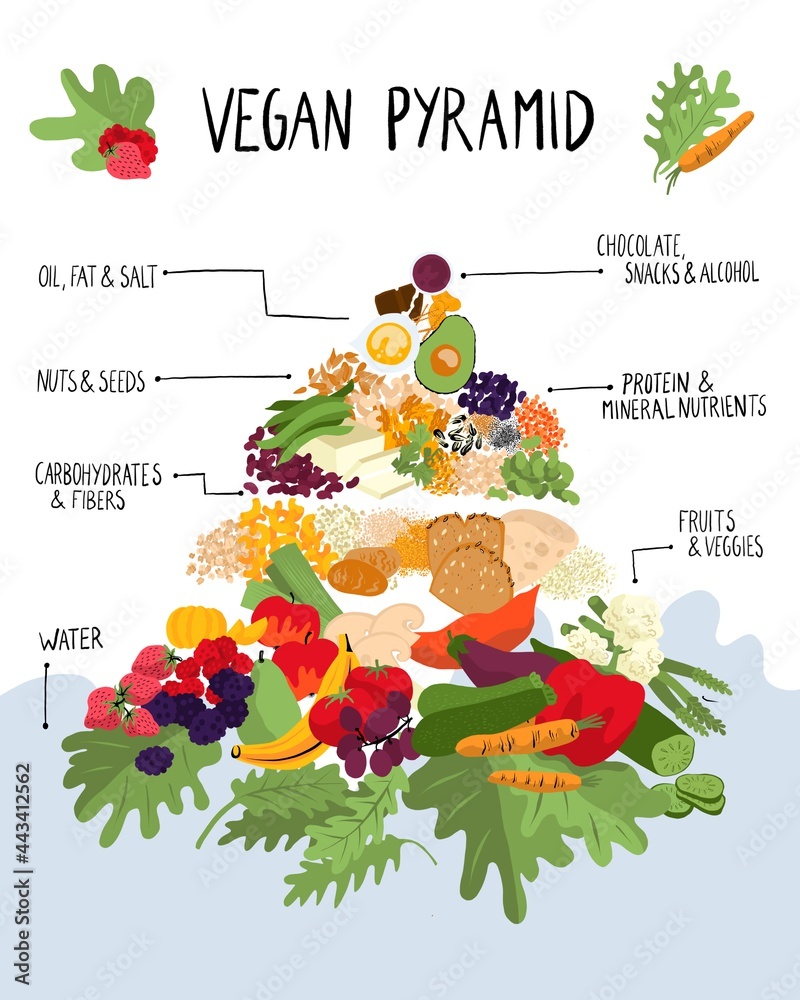Vegan food pyramid in english Stock Illustration | Adobe Stock