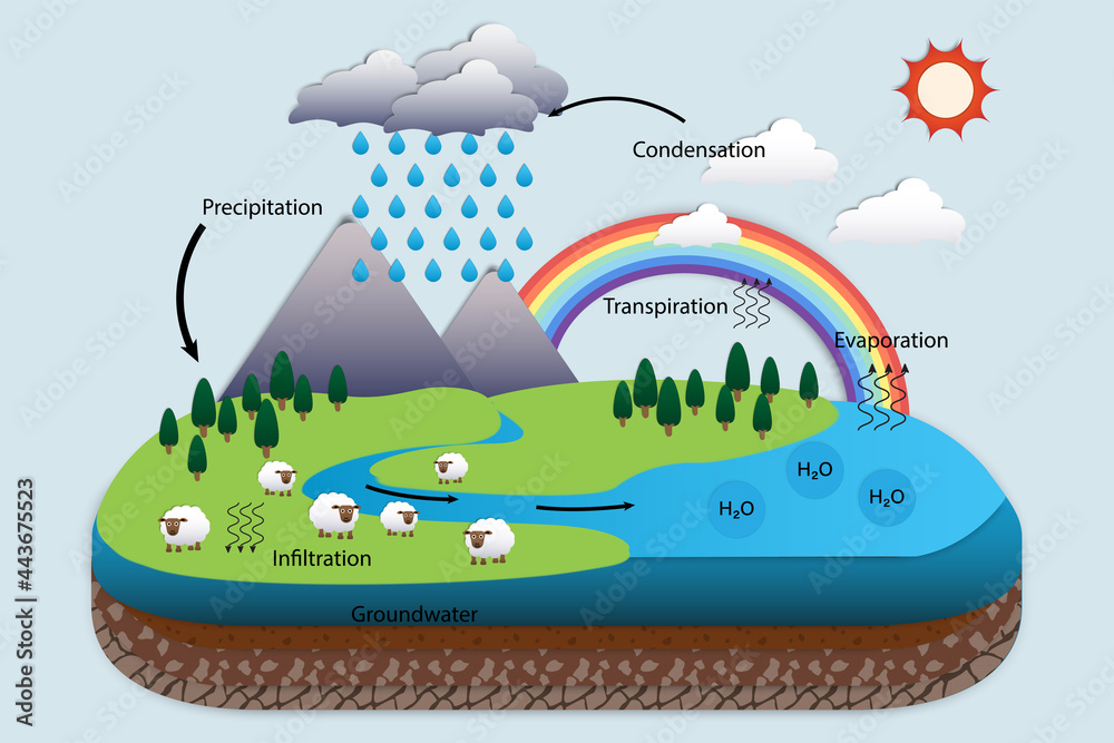 Diagram of Water cycle, Hydrologic cycle, Biogeochemical cycle for ...