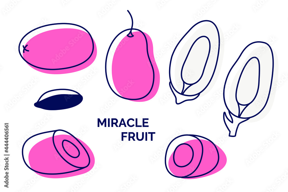 Vector de Stock Miracle fruit logo set. Collection of tropical fruits ...